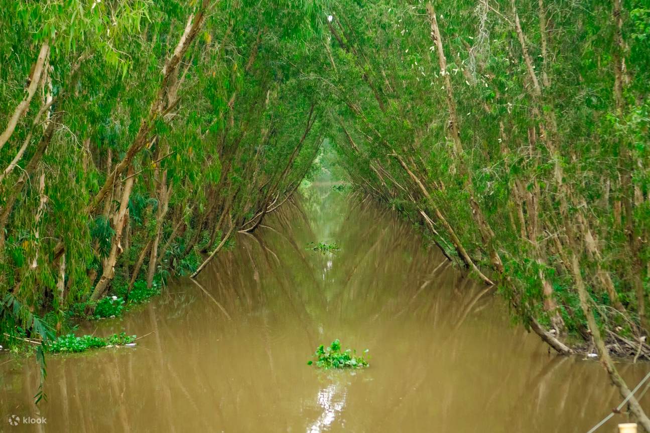 Lawatan Hari Hutan Tra Su Cajuput dari Can Tho - Klook Amerika Syarikat