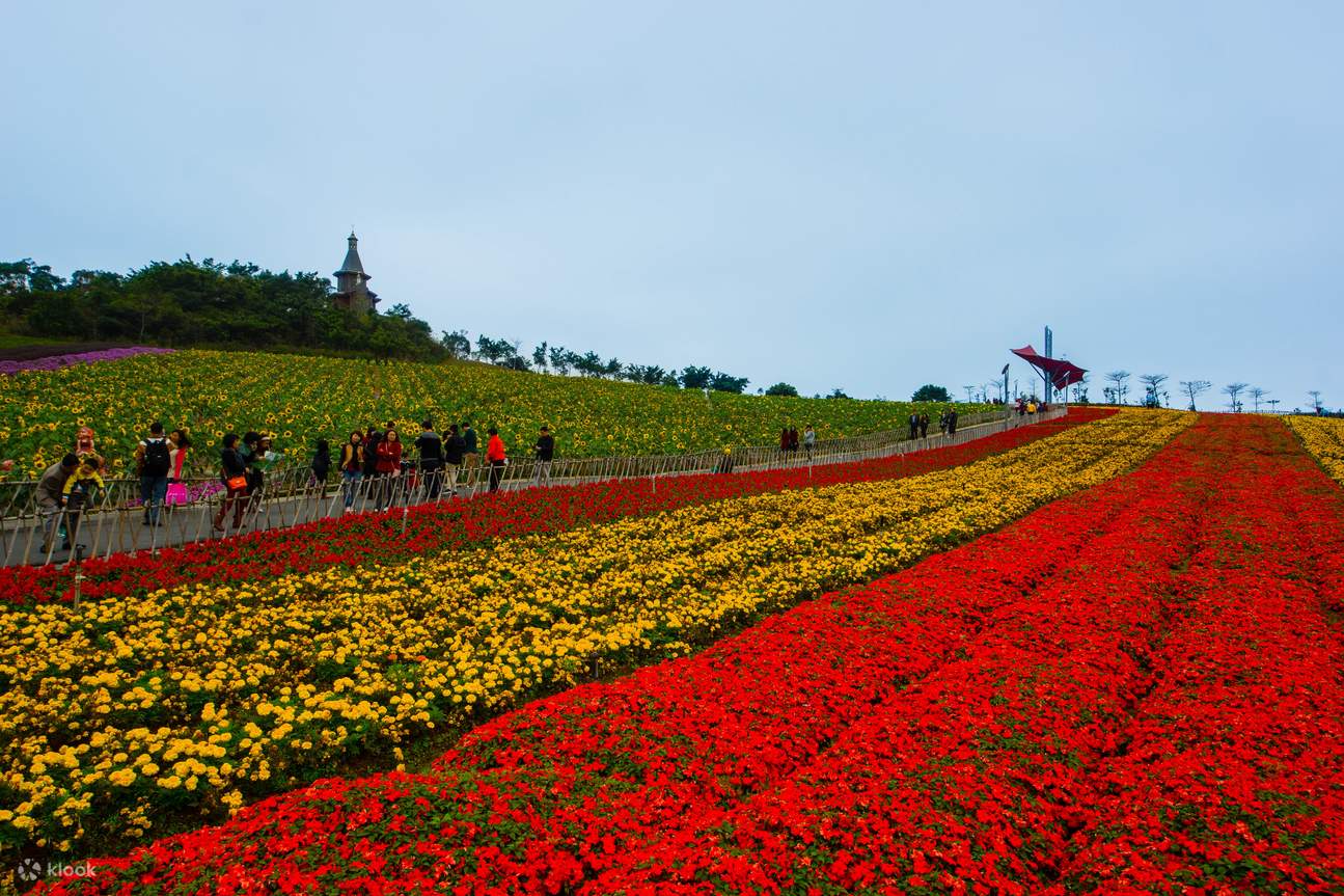 Shenzhen Knight Valley & Tea Stream Valley Ticket - Klook ประเทศไทย