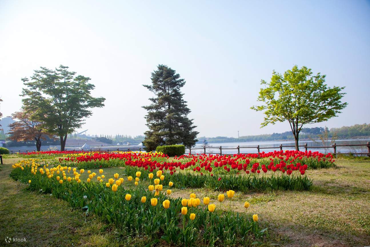 [Klook] Goyang 2TOGO No.2 One Day Tour yang Menyenangkan dari Seoul ...