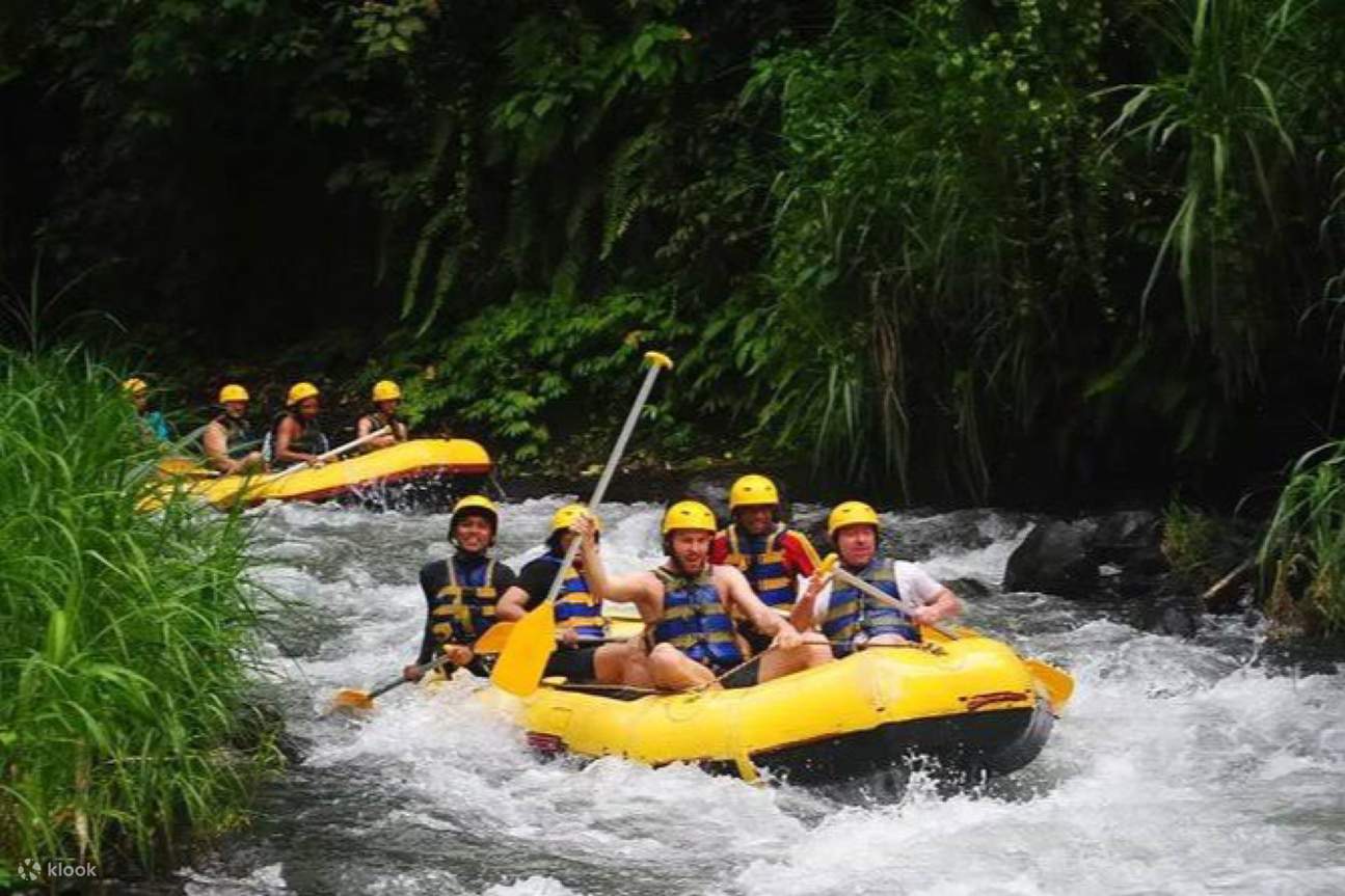 Ubud Gorilla ATV Adventure with Optional Activities & Meal - Klook ...