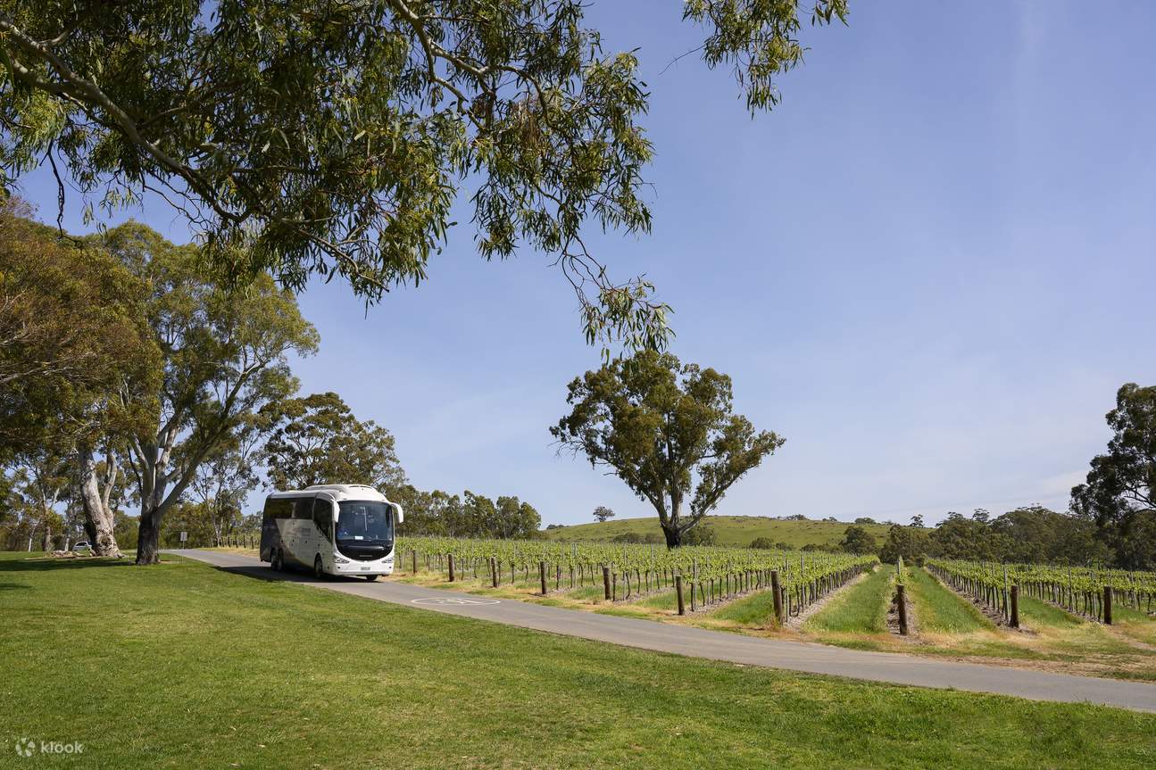 Barossa Valley und Hahndorf Highlights-Tour ab Adelaide - Klook ...