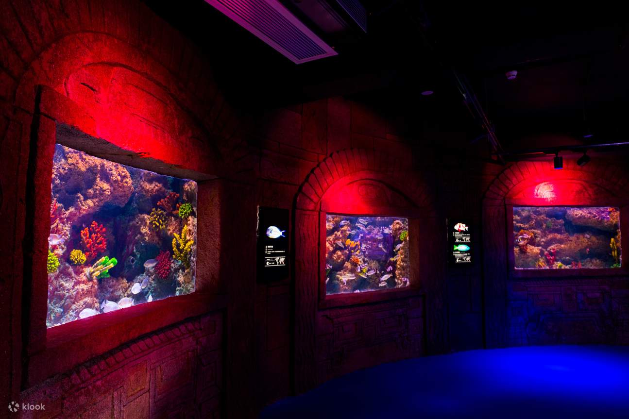 Tickets for Shenzhen Mission Hills Ocean World - Klook