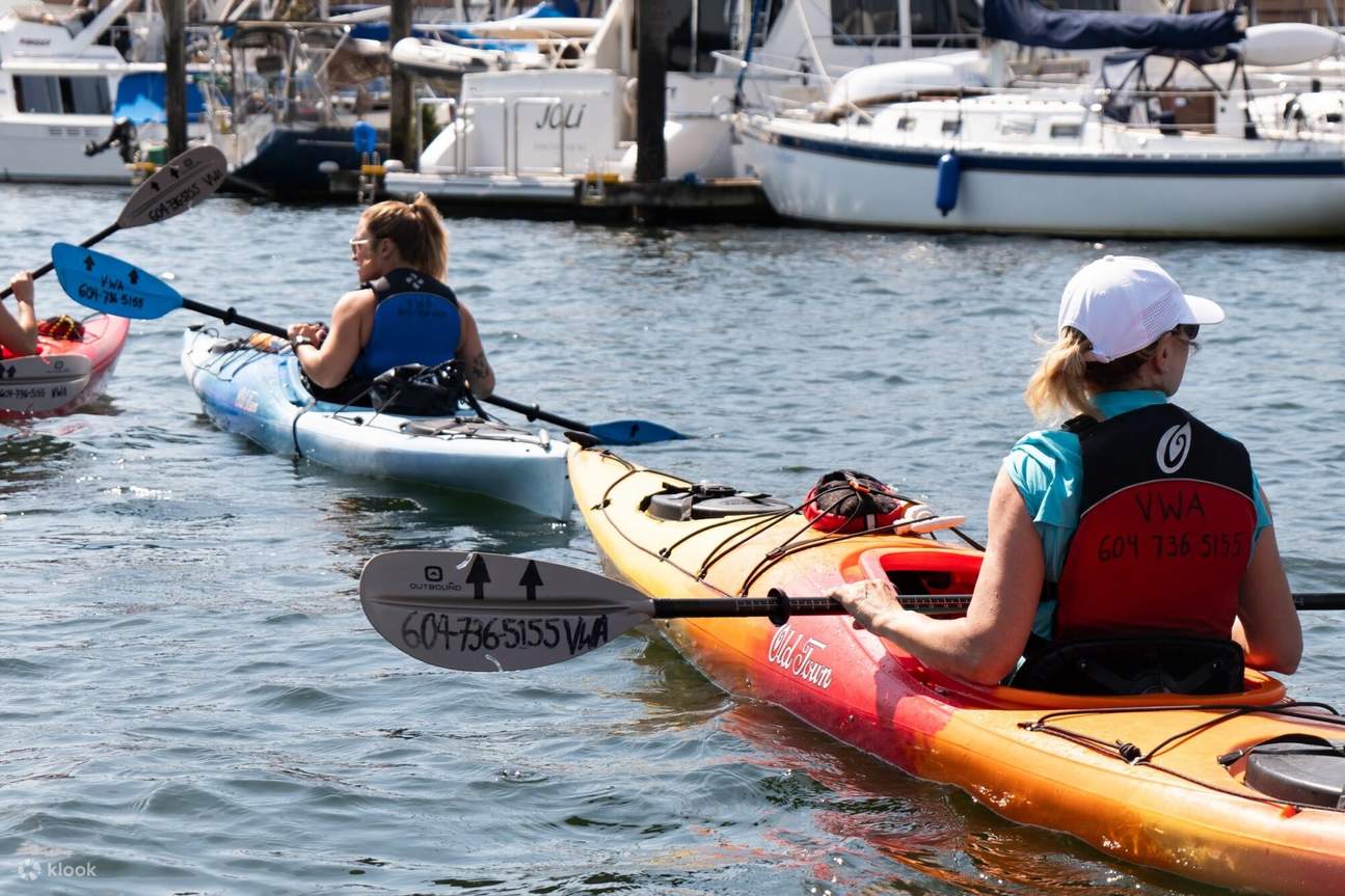 Kayak & Coffee Tour in Vancouver - Klook Philippines