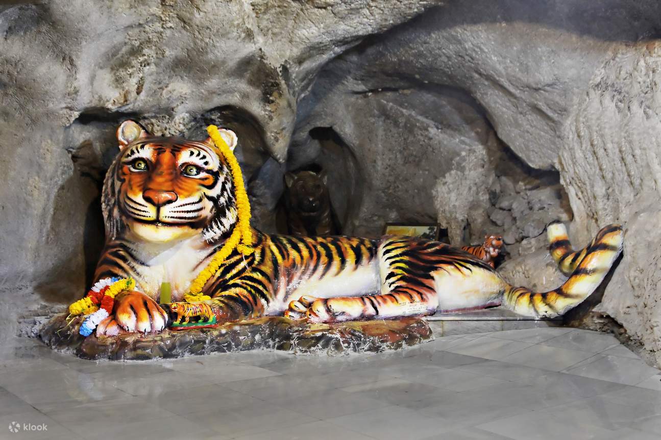 Lawatan Hutan ke Kuil Gua Harimau, Mata Air Panas & Kolam Kristal ...