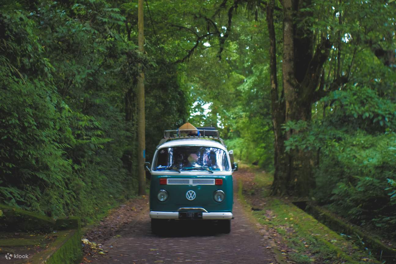 VW Combi Classic Picnic Or Camping Experience in Bali - Klook