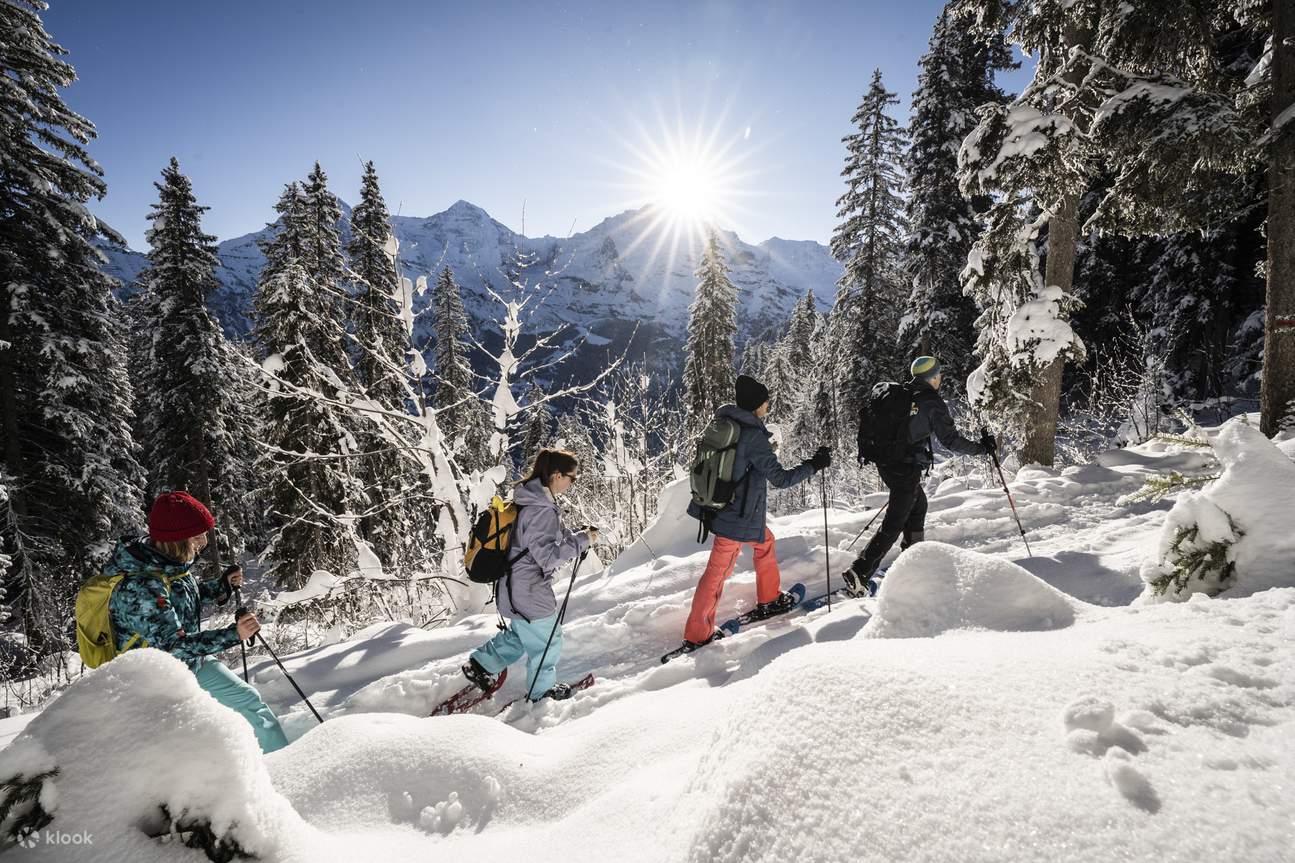 winter alpine adventure from Interlaken - Klook United States