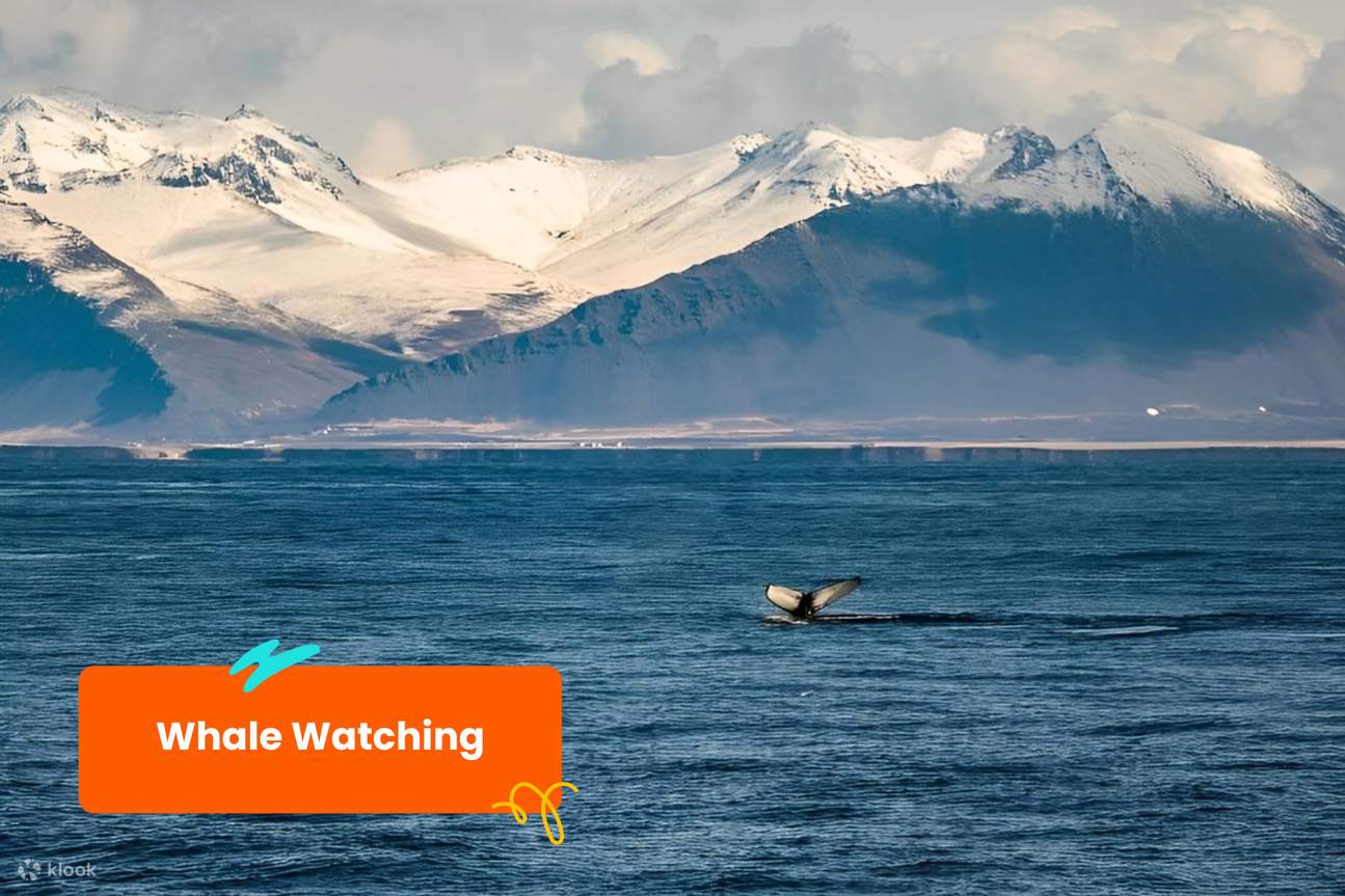 Klook Pass Iceland - Klook Philippines