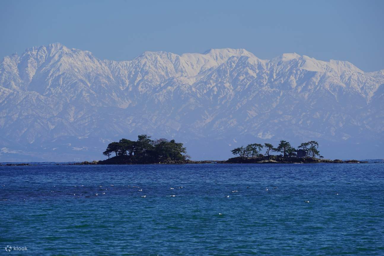 From Kanazawa: Amaharashi Coast, Big Buddha and Shokawa River Cruise ...