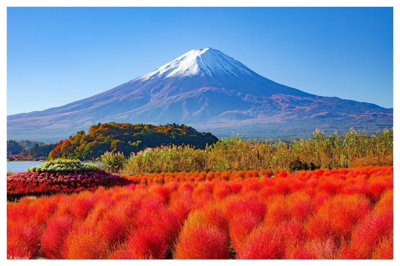 Mount Fuji Panoramic Day Tour - Mount Fuji World Heritage Centre, Lake ...