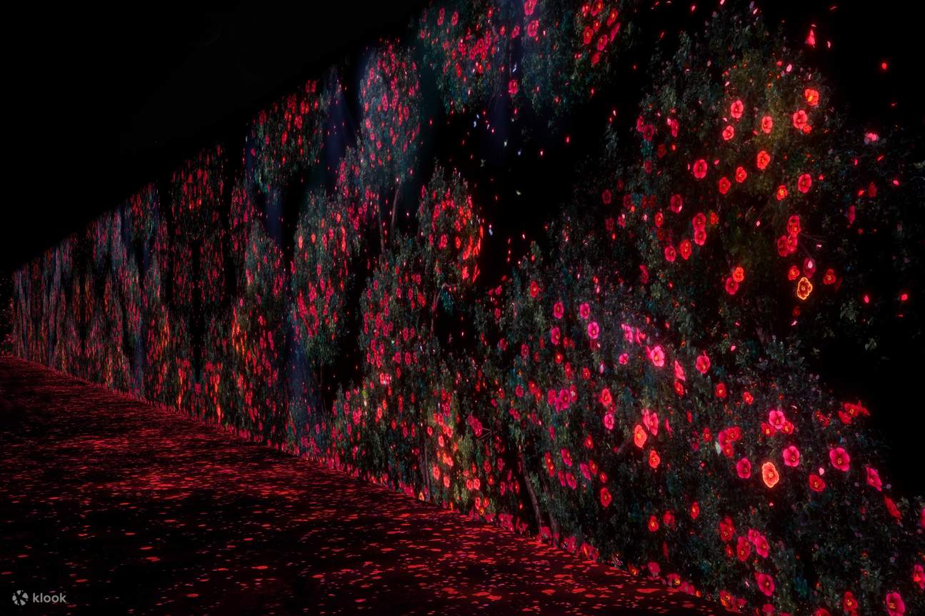 Arte Museum Admission Ticket - Klook Hong Kong