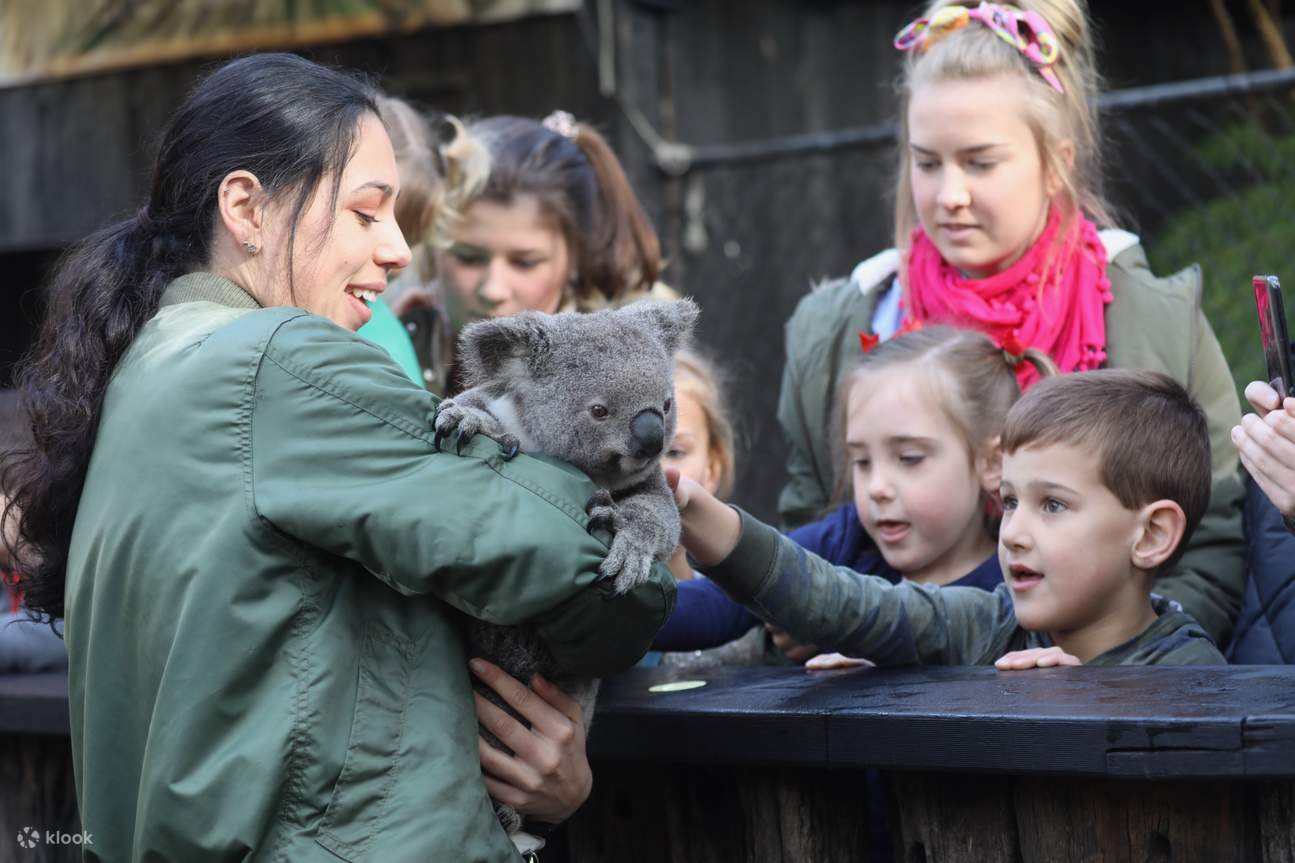 Australian Reptile Park Tickets - Klook