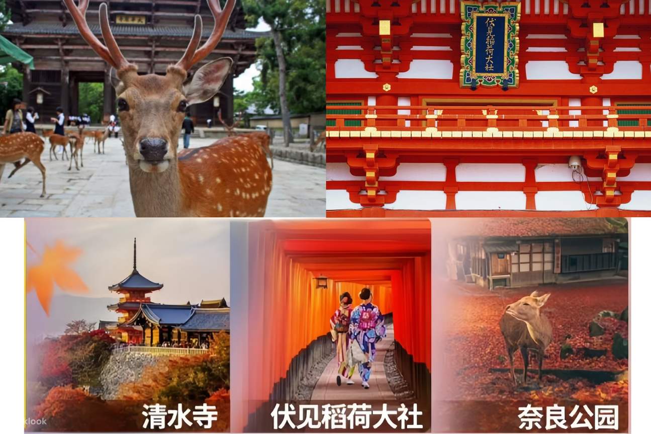 【1人成行 精品小团】京都奈良双古都一日游|清水寺and 伏见稻荷大社and奈良公园|中文司导|大阪and京都出发|可选酒店接送 Klook客路
