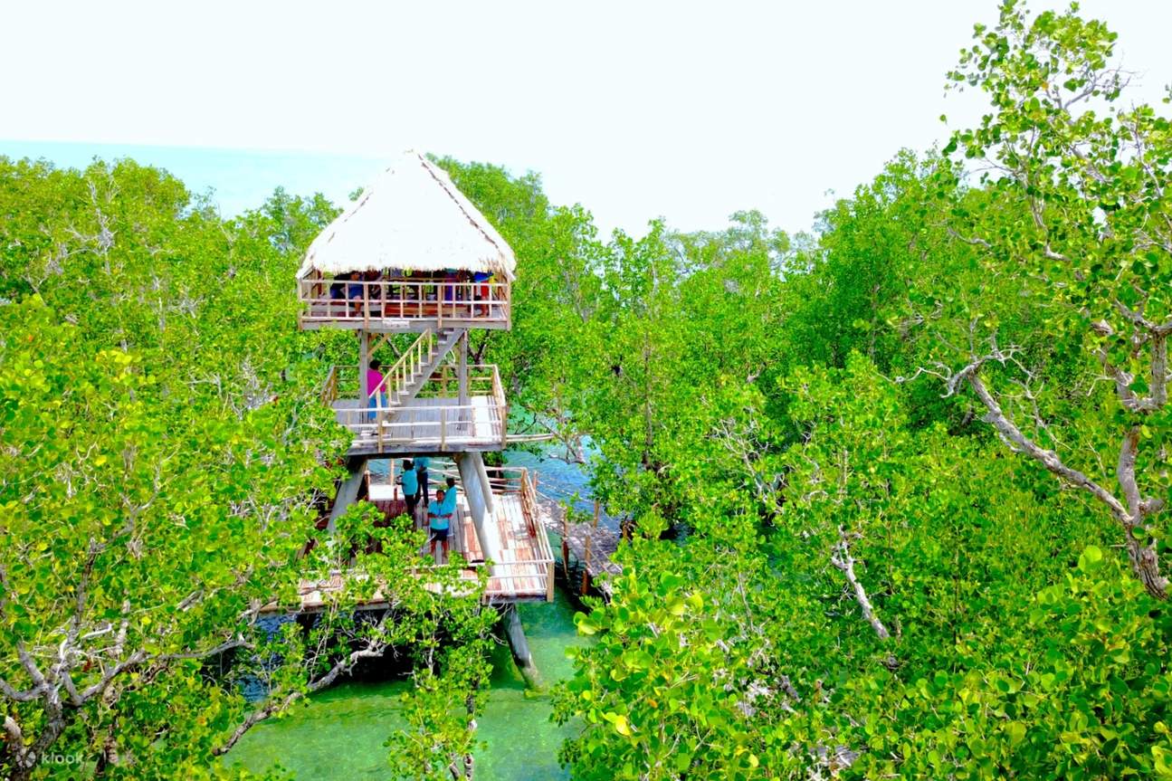 Carbin Reef Island-Hopping Tour - Klook Philippines