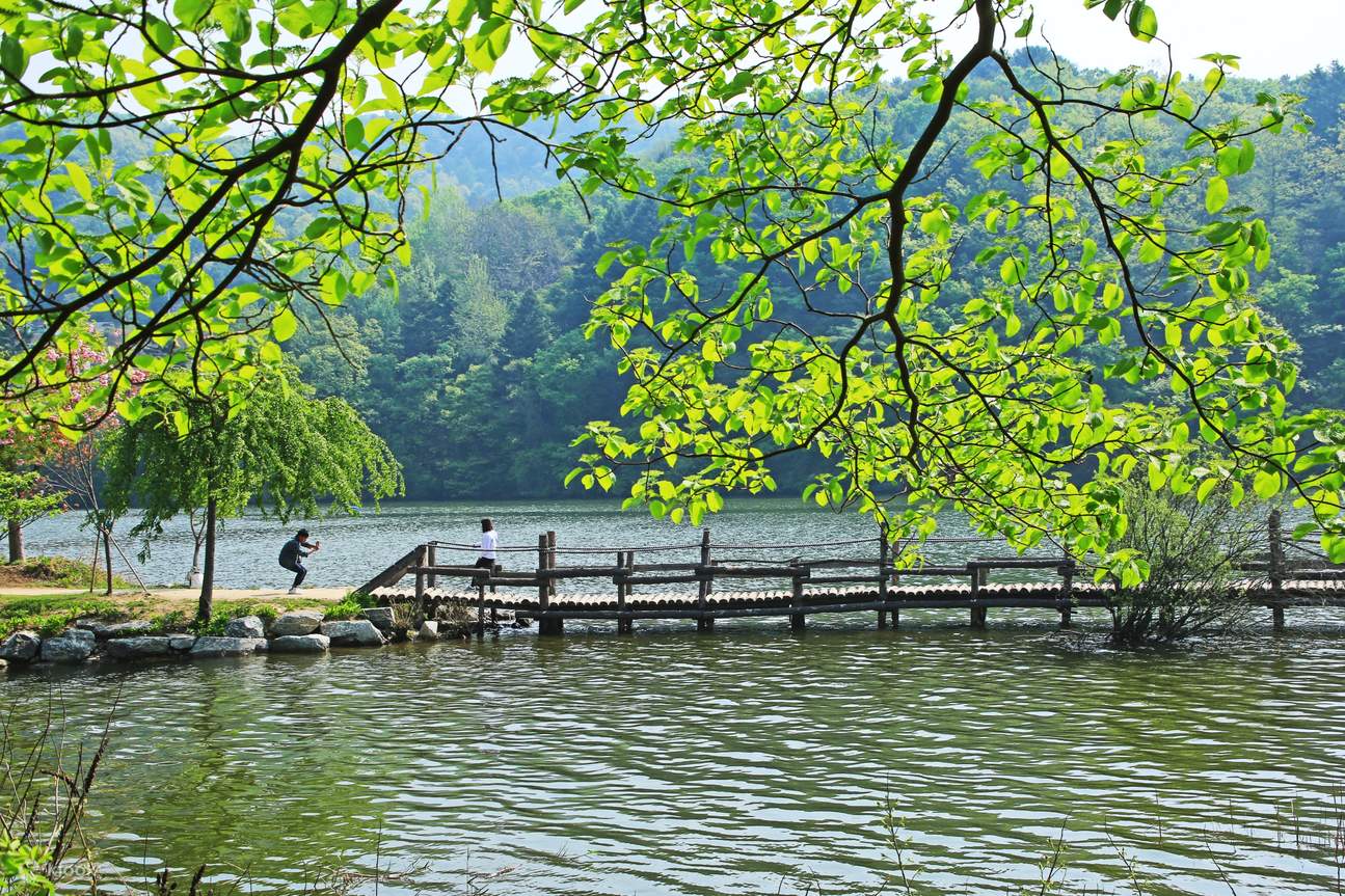 [Special Offer] Nami Island Admission with Restaurants & Activities ...