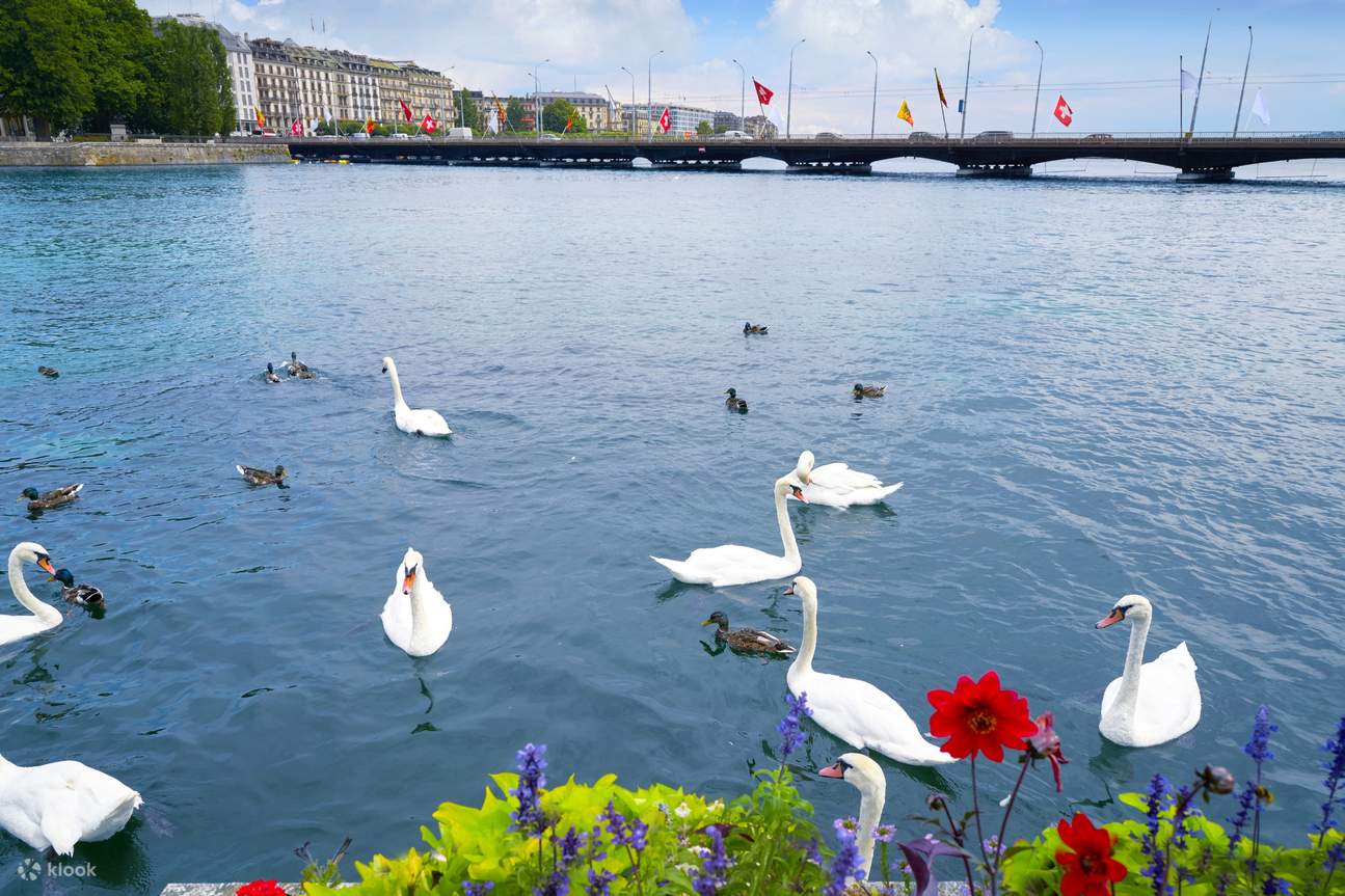 Geneva First Discovery Walking Trip - Klook