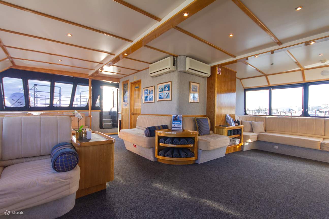 Augusta Whale Watch Experience Boat Tour - Klook