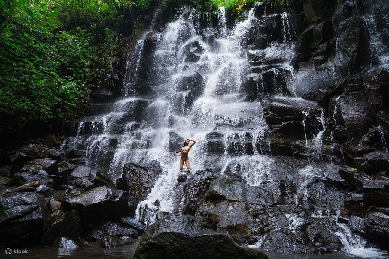 Ubud, Gianyar and Kintamani, Bangli Private Day Tour - Klook Philippines