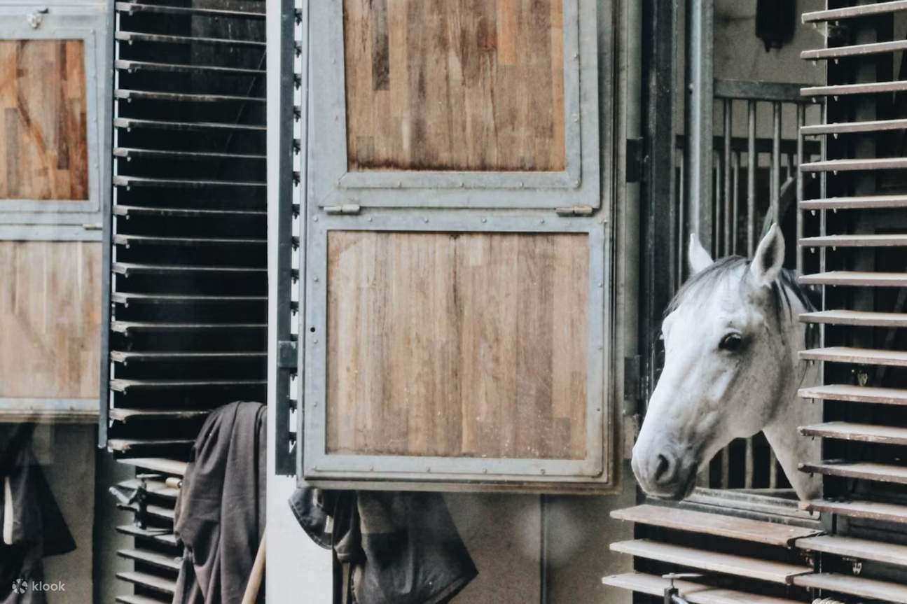Spanish Riding School Tour in Vienna - Klook