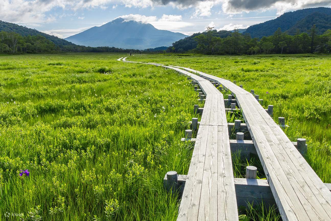 [Gunma Scenic Hiking Tour] Japan's Largest Plateau Wetland "Oze-no-hara ...