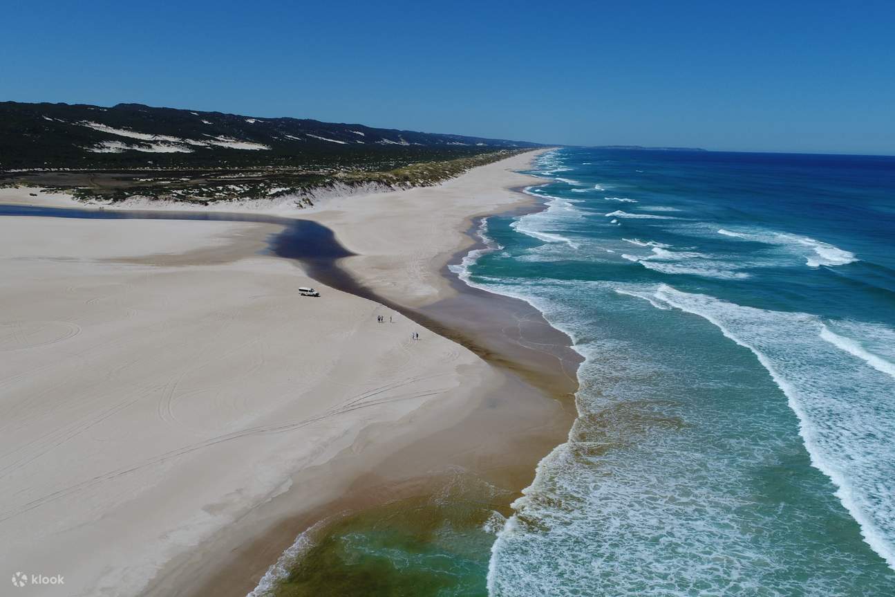 Warren National Park & Great Southern Ocean 4WD Tour in Pemberton ...