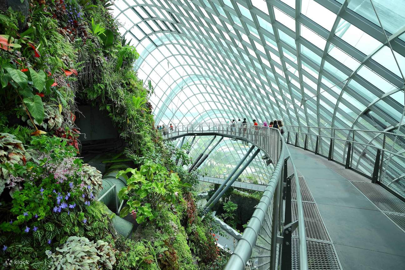 Gardens by the Bay Guided Tour with Flower Dome & Cloud Forest - Klook ...