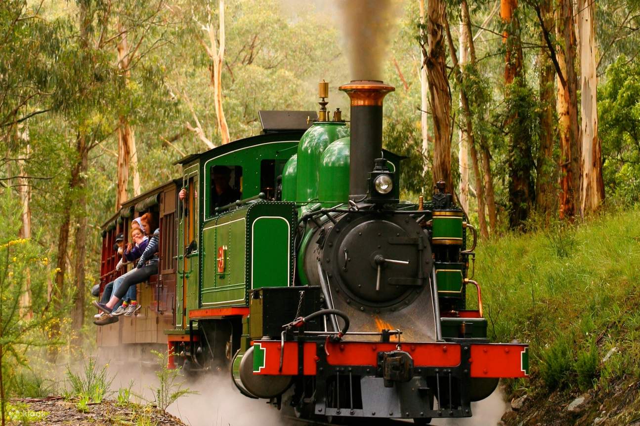 Puffing Billy Half Day Tour from Melbourne - Klook Australia