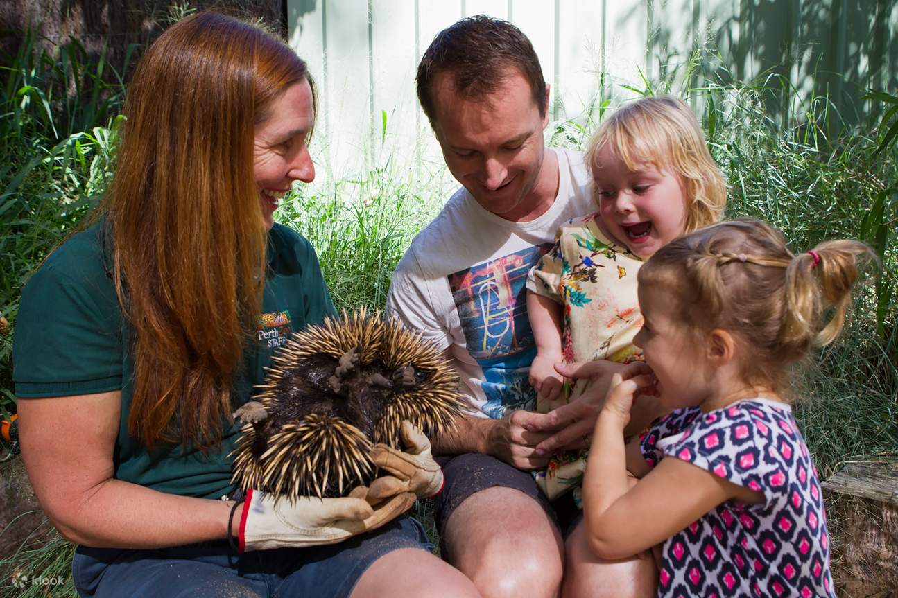 Tiket Masuk Perth Zoo dan Swan River Sightseeing Cruise - Klook Indonesia