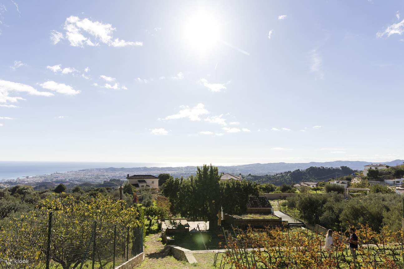 TOP WINE TOUR- Vineyard & cellar visit + 6 top wines + tapas - Klook ...