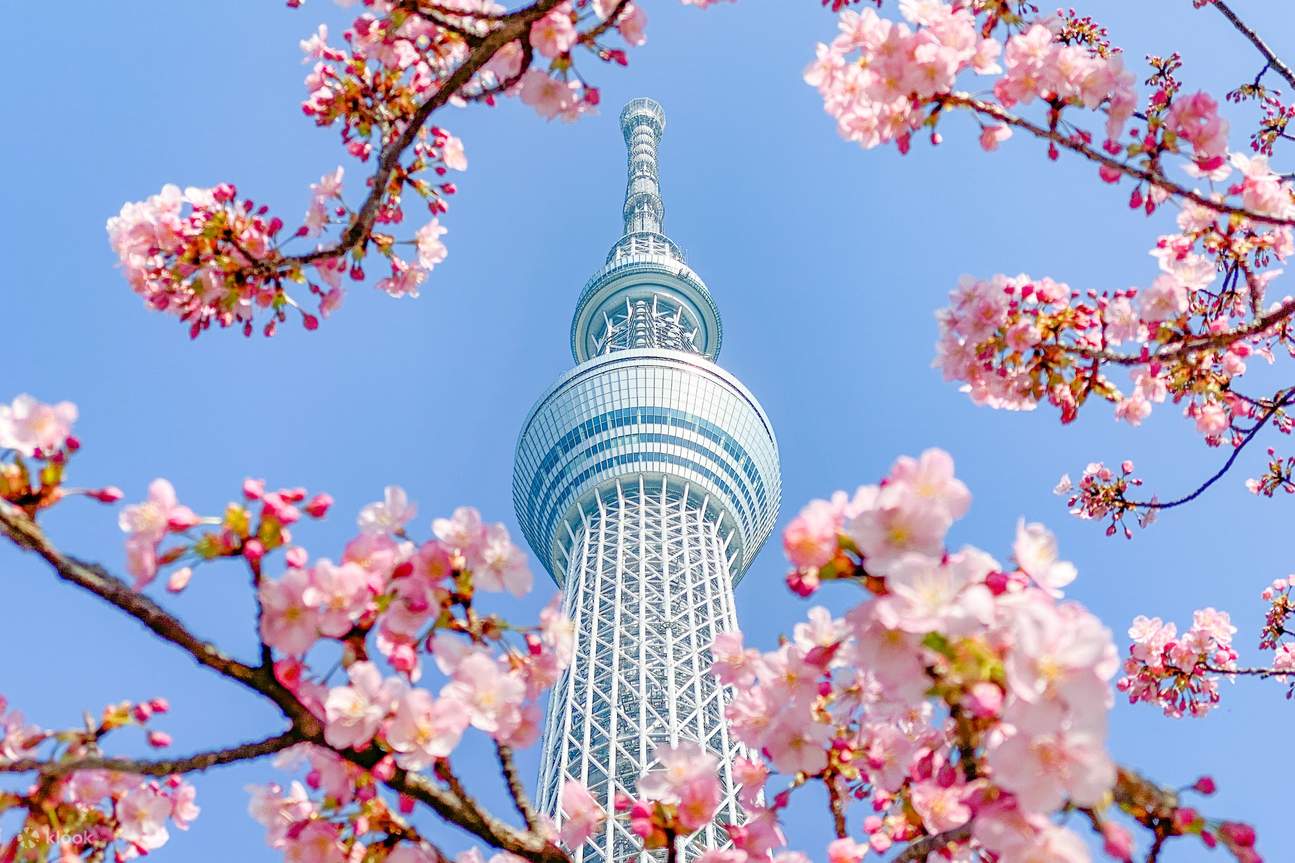 Tokyo Skytree - Klook Indonesia