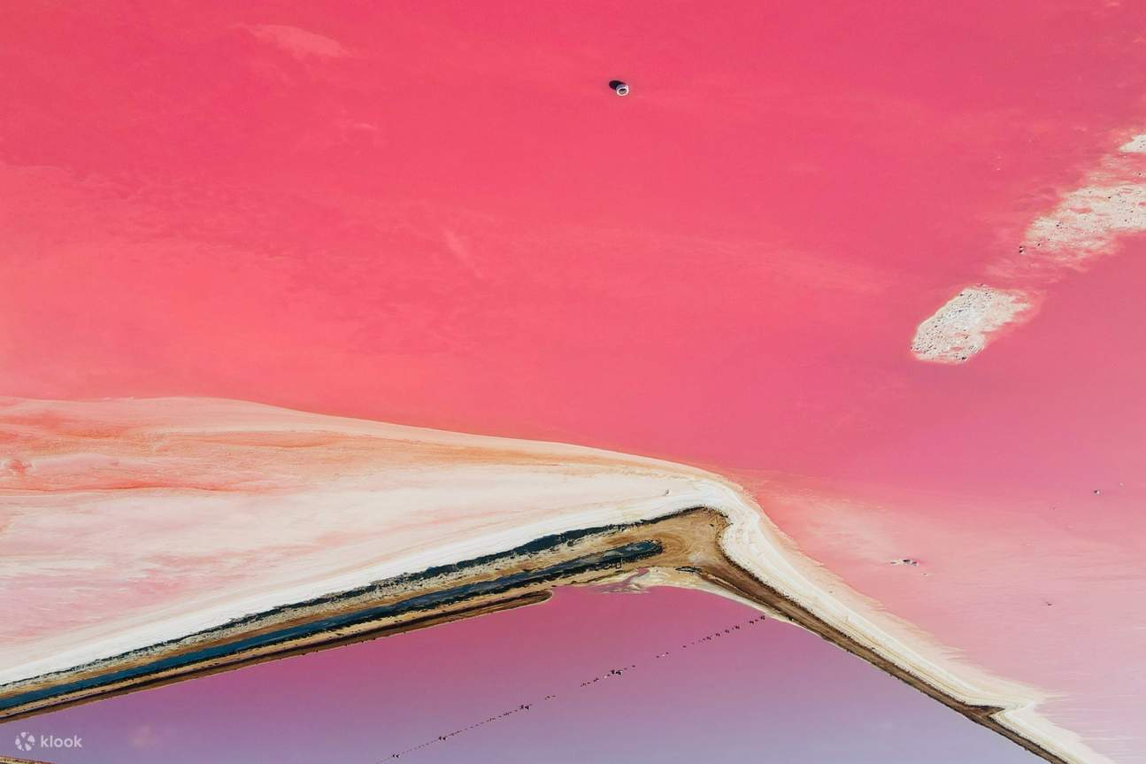 Tur 2D1N ke Danau Pink Kalbarri dari Perth - Klook Indonesia