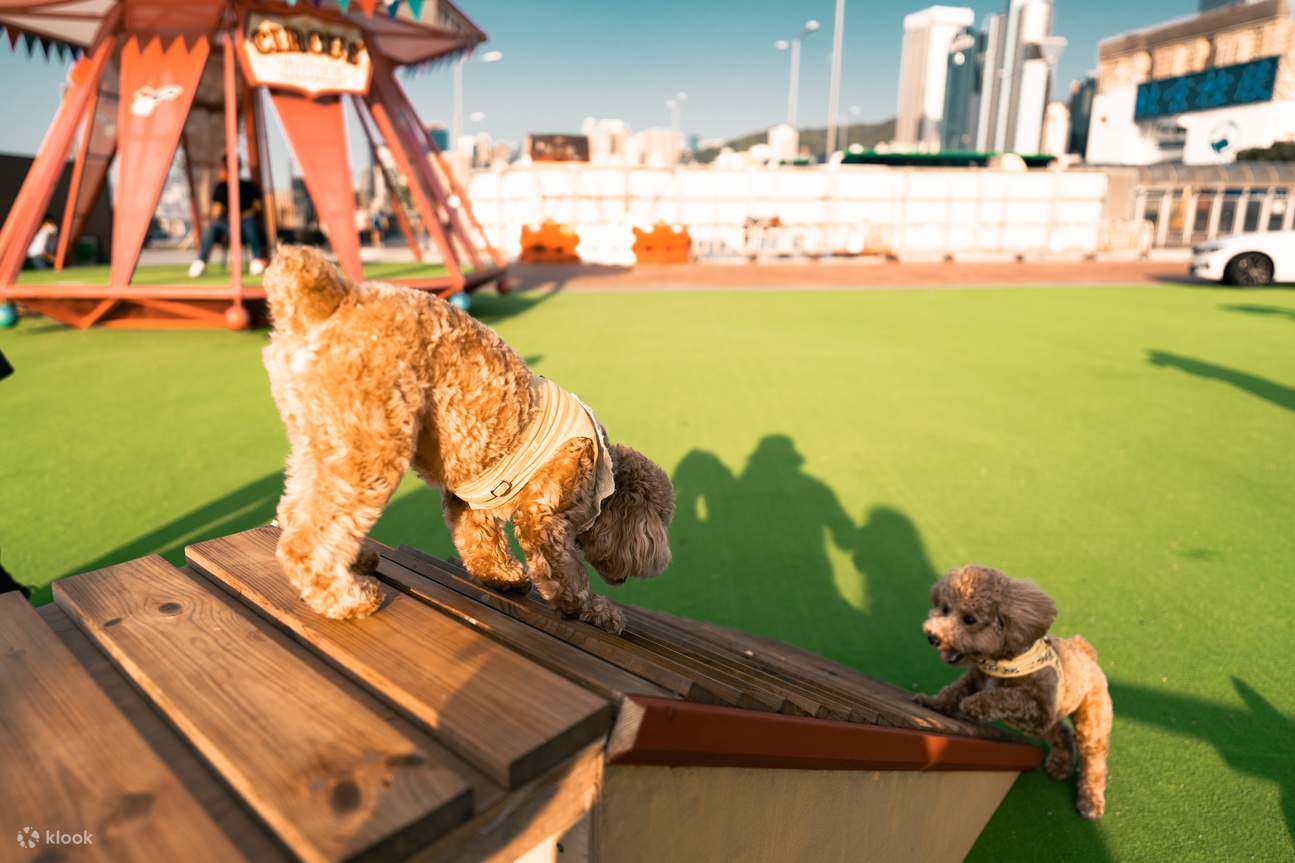 【Exclusive Early Bird Offer】Move it Move it Carnival 2022 - Klook