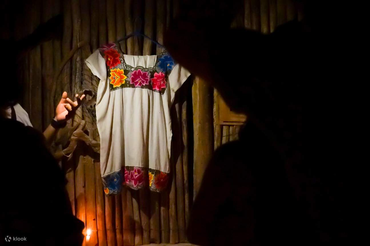 Night Mayan Temazcal Purification Ceremony - Klook