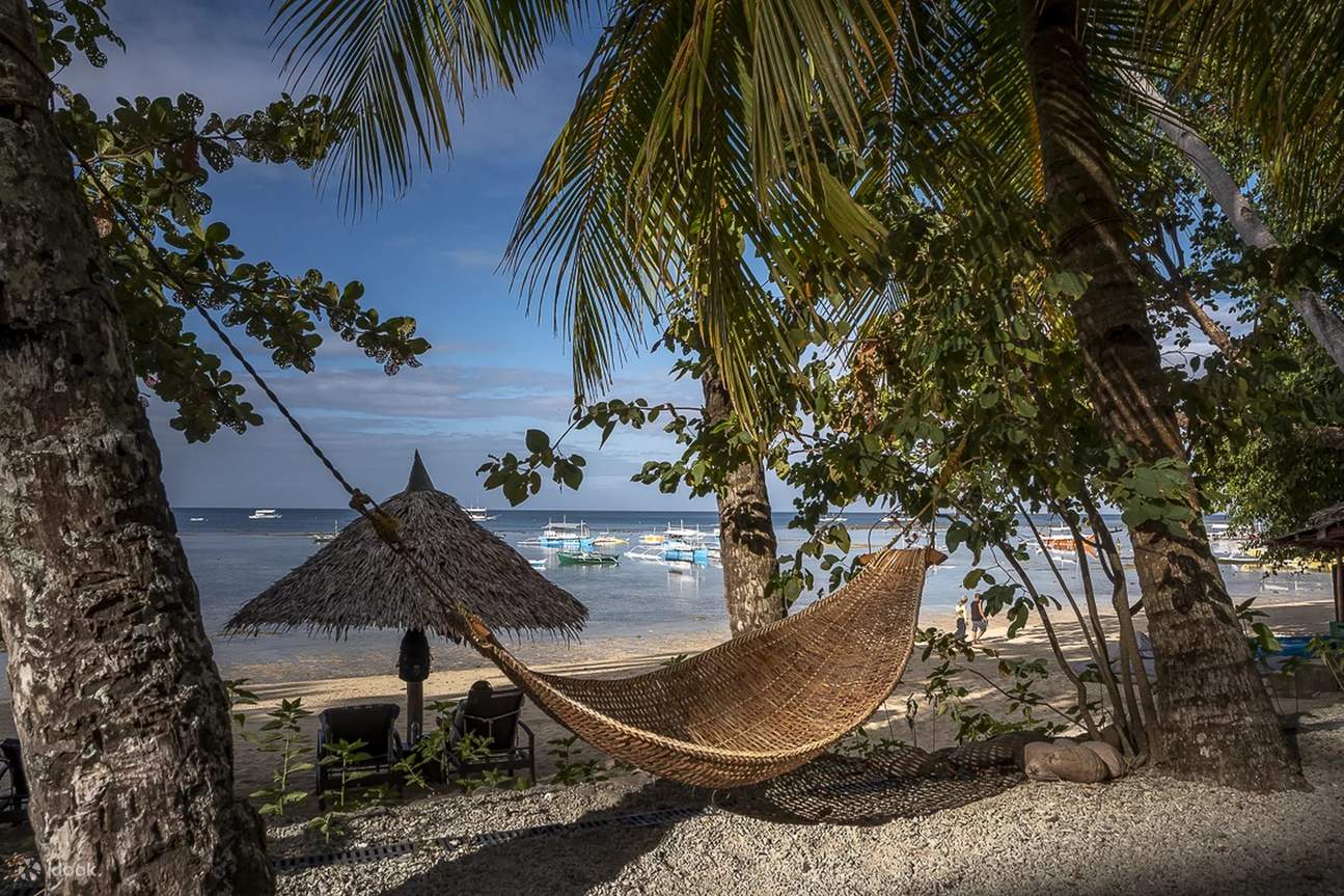 Dive Deeper, Stay Longer: Become an Enriched Air Diver in Sipalay with ...