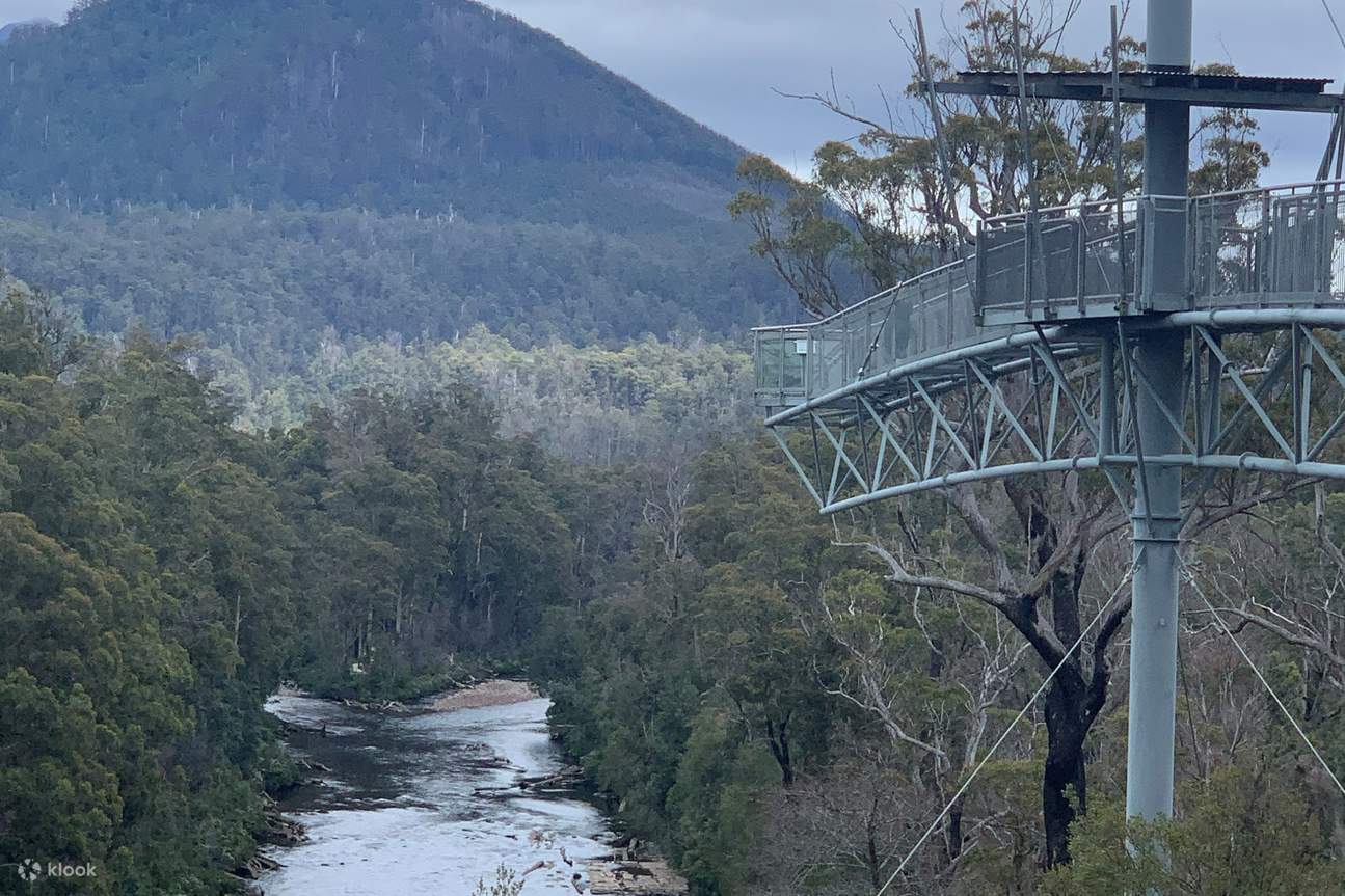 Hastings Caves, Thermal Springs & Tahune Airwalk Tour from Hobart - Klook