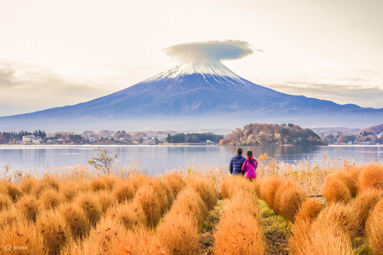With Mt. Fuji View: Snow Fun at Fujiten & Oishi Park Sightseeing Tou ...