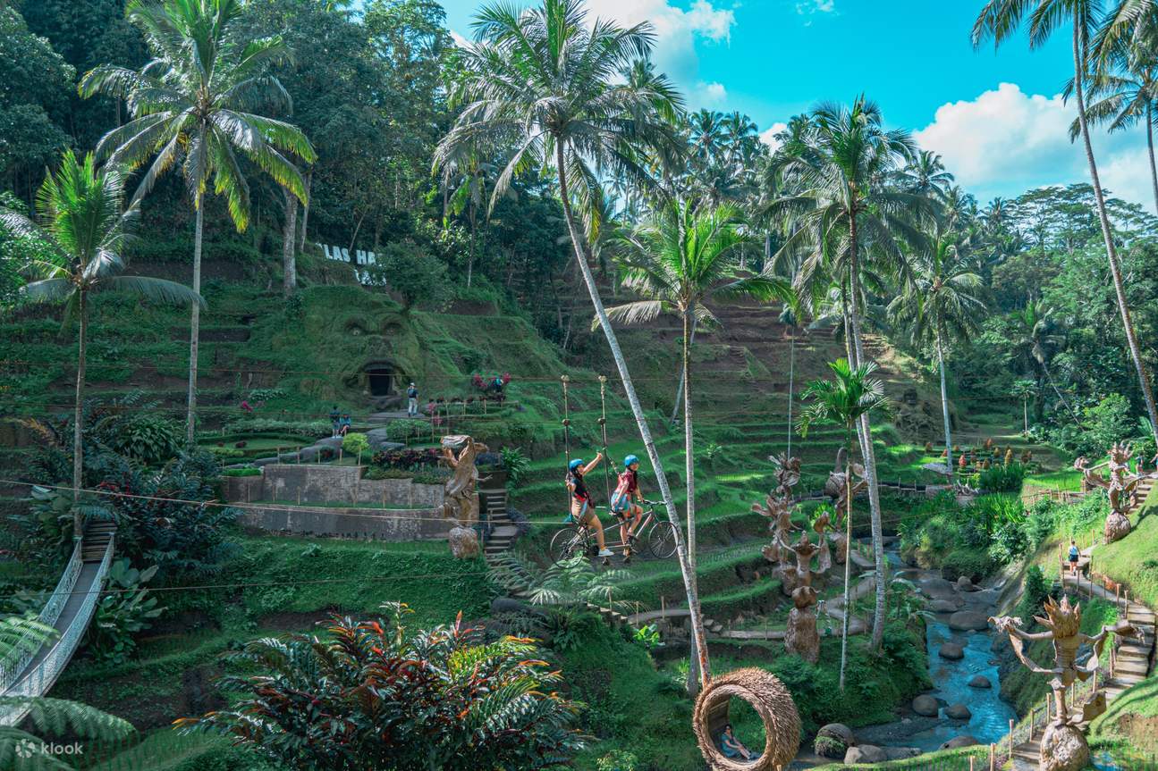 Zipline and Sky Bike Experience in Ubud Bali - Klook