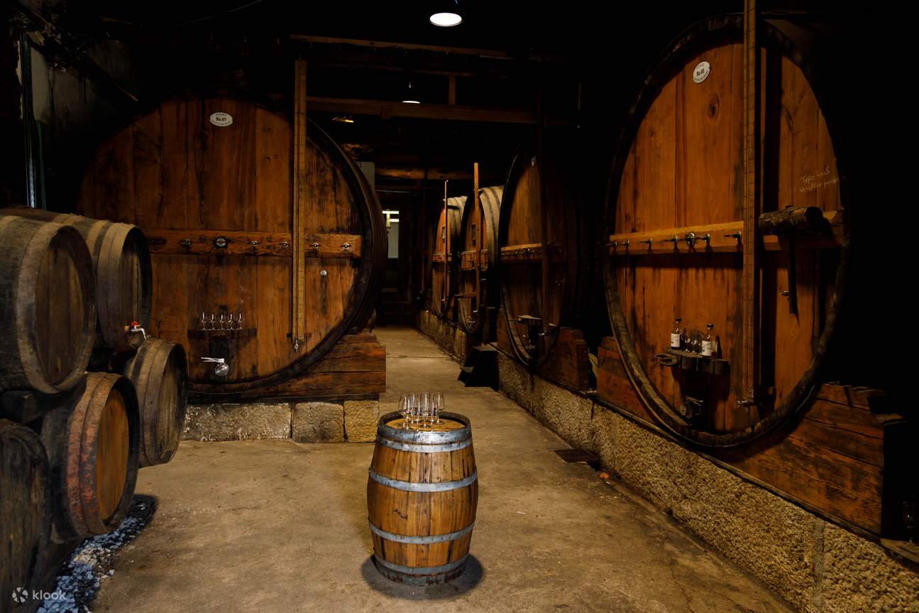 Indulge in the Ultimate Douro Valley Premium Tour: Lunch Cruise and ...