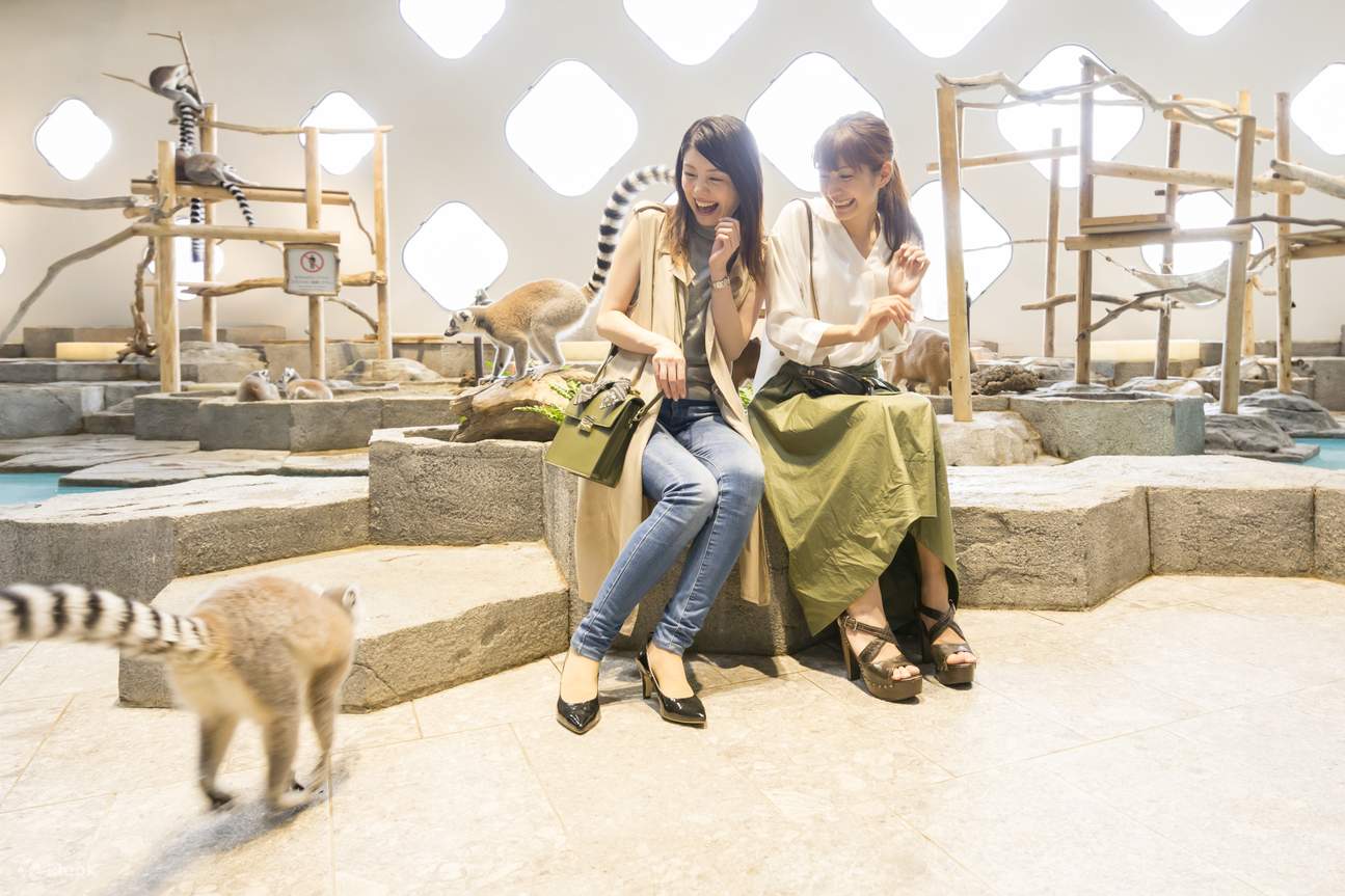 Interact with Majestic Animals in this NIFREL Interactive Aquazoo E-Ticket in Osaka - Klook ...