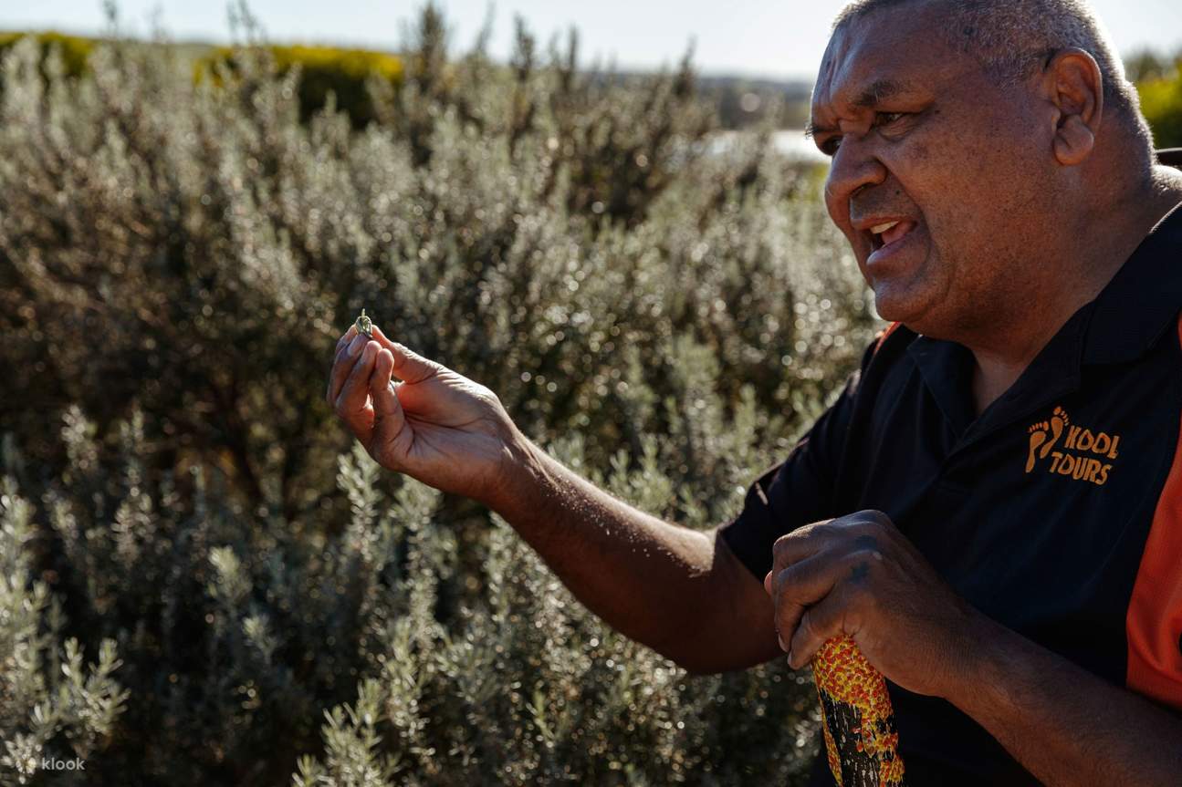 Kangaroo Island Indigenous Day Tour - Klook