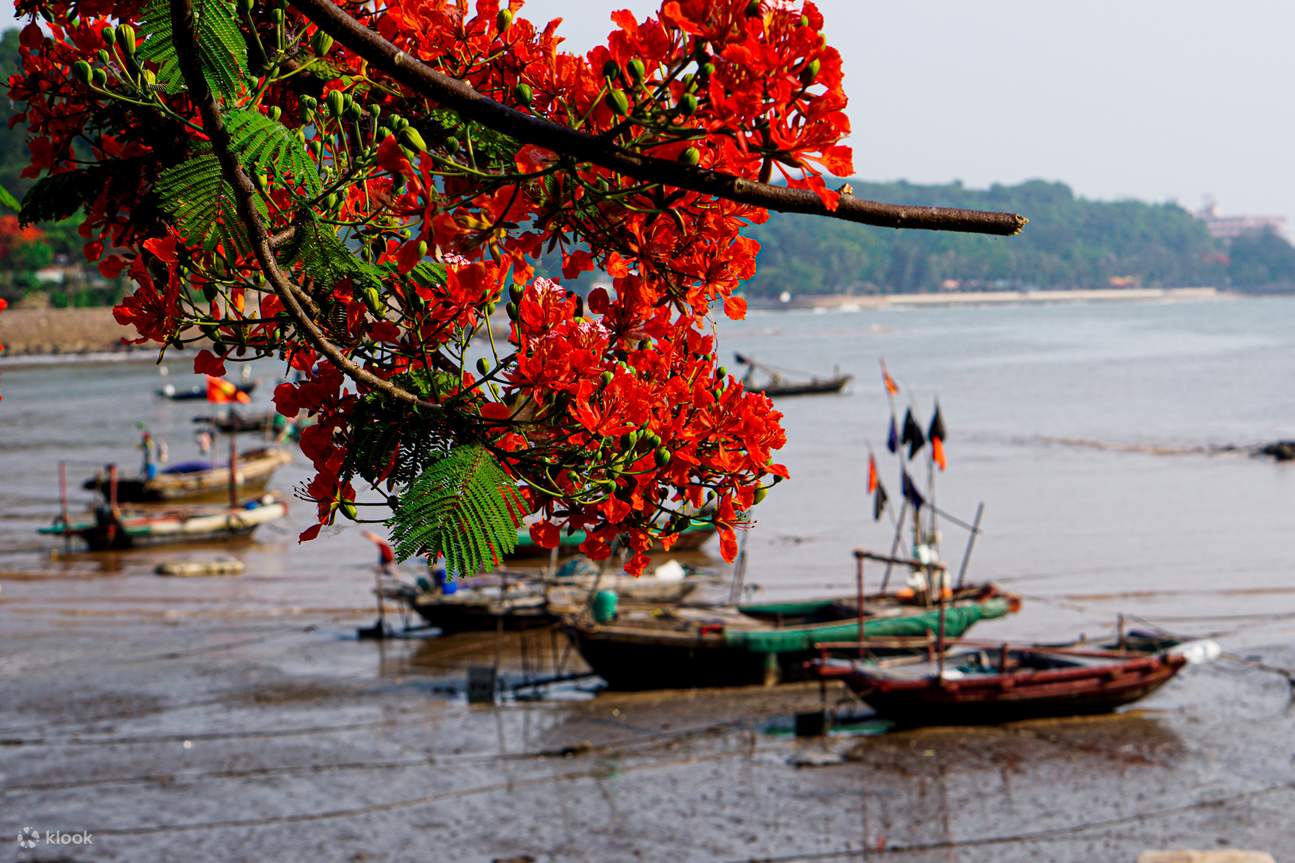 Halong by Air, Hai Phong by Flavor: Day Trip from Hanoi - Klook Hong Kong