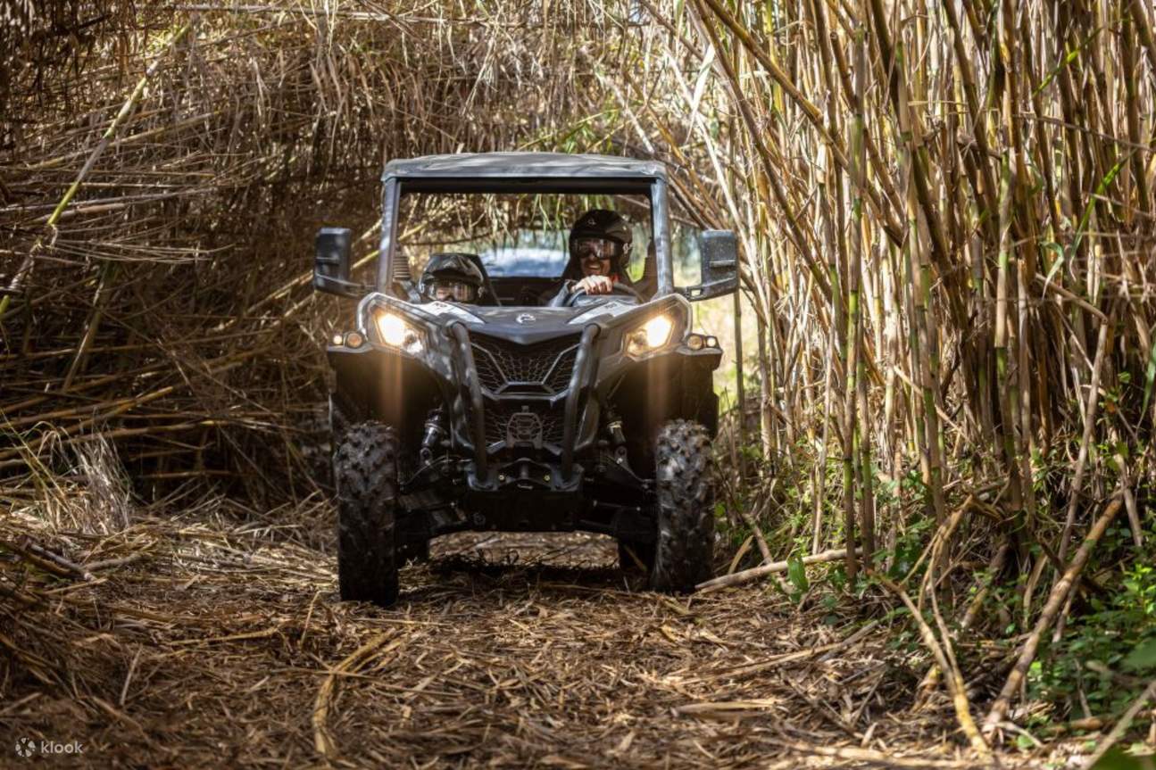 Off-Road Buggy Adventure from Porto - Klook United States