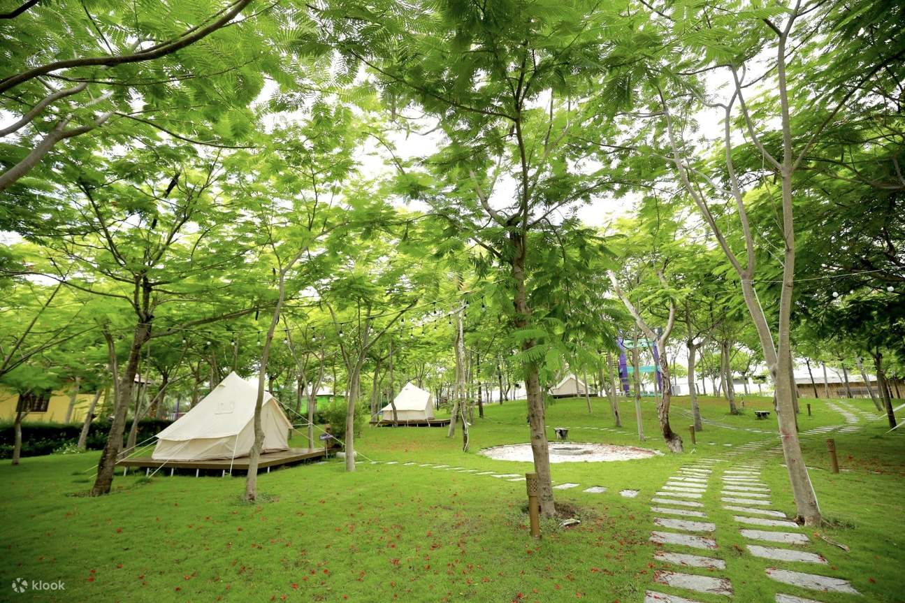 TTC Doc Let Beach Nha Trang Ticket - Klook United States