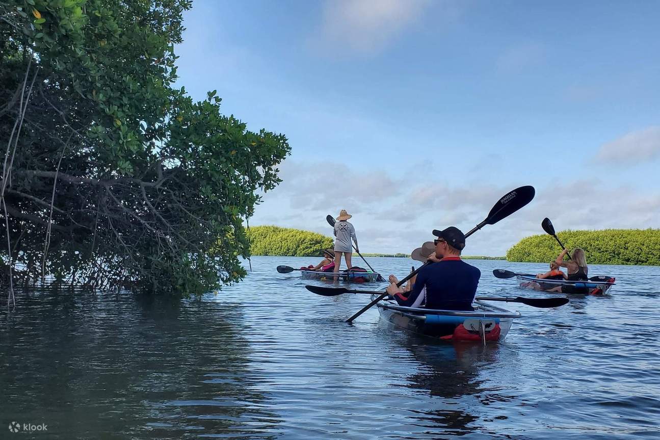 Shell Key Preserve Clear Kayak Tour in Tampa Bay - Klook Singapore