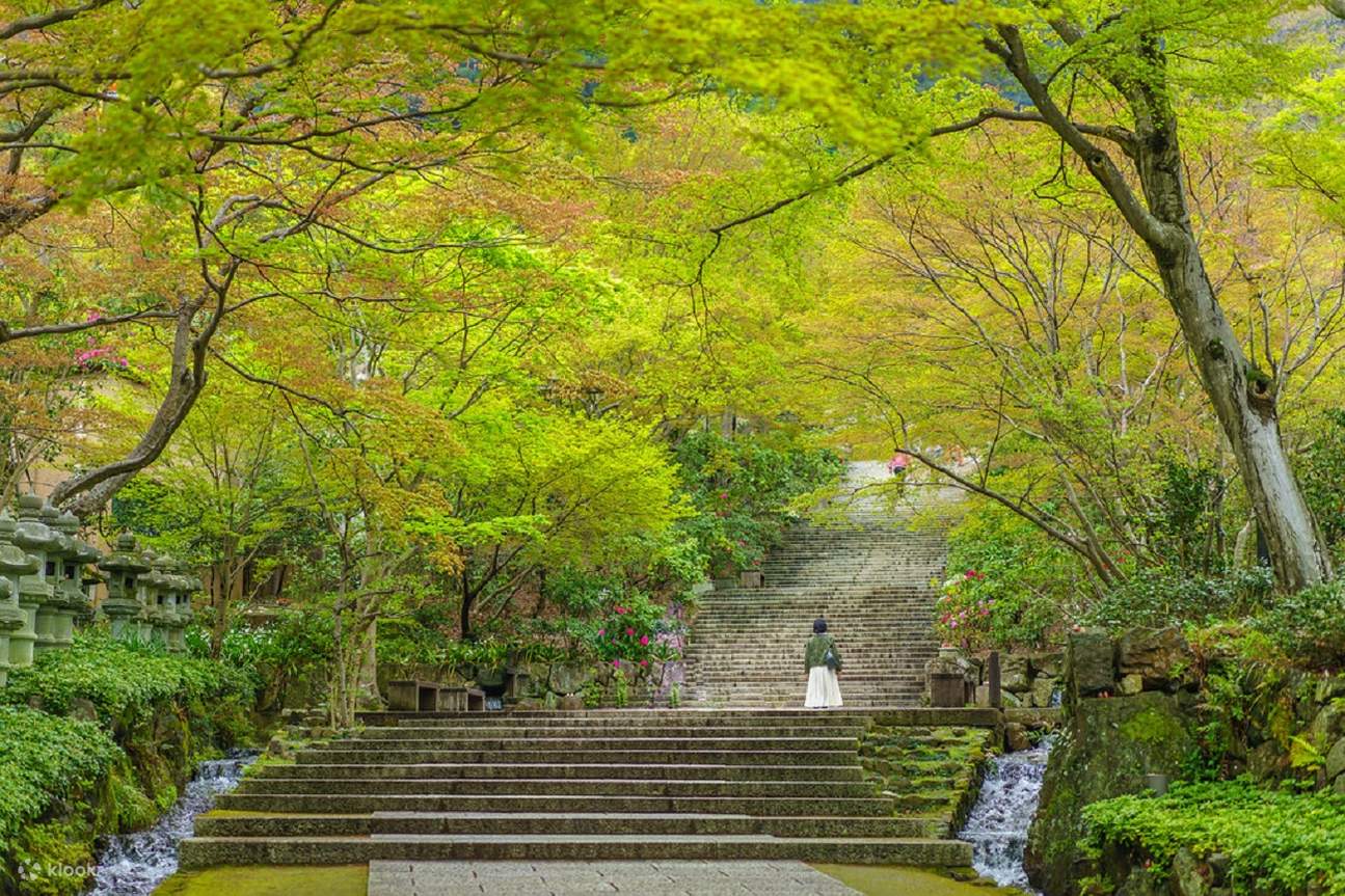 Minoh Katsuoji Temple Walking Tour with Local Guide (4 Hours) - Klook ...