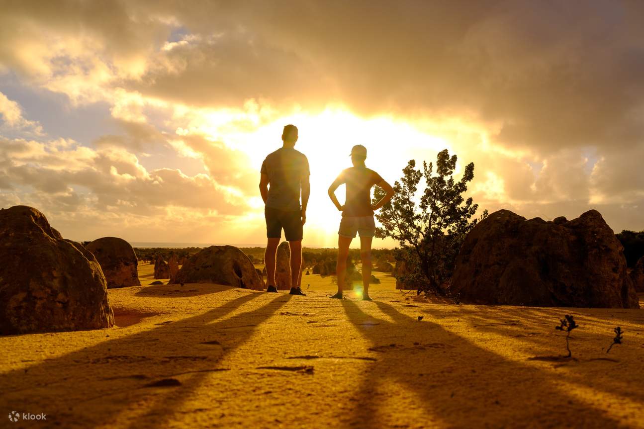 Pinnacles Sunset Dinner and Wildlife Full Day Tour in Perth, Australia ...