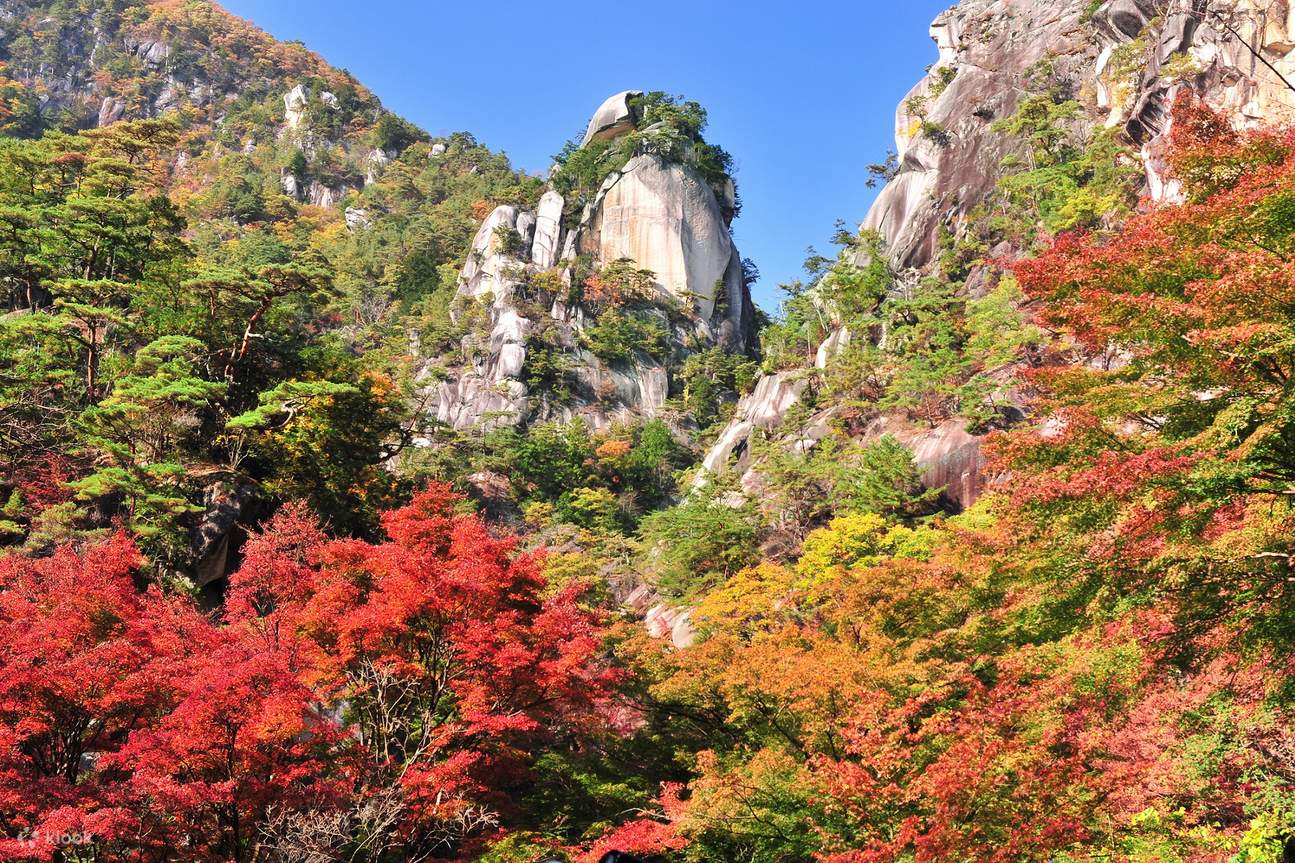 [One-day Autumn Maple Viewing Tour of Mount Fuji] Lake Kawaguchi Maple ...