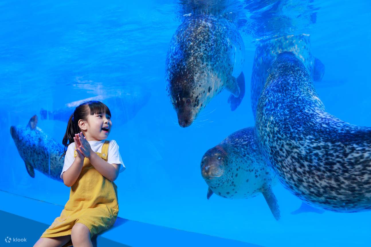 Grandview Aquarium Ticket - Klook Malaysia