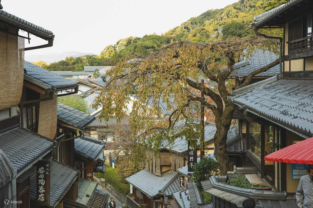 Kyoto Luxury Private Car Charter - Exploring Japanese Style - Klook India