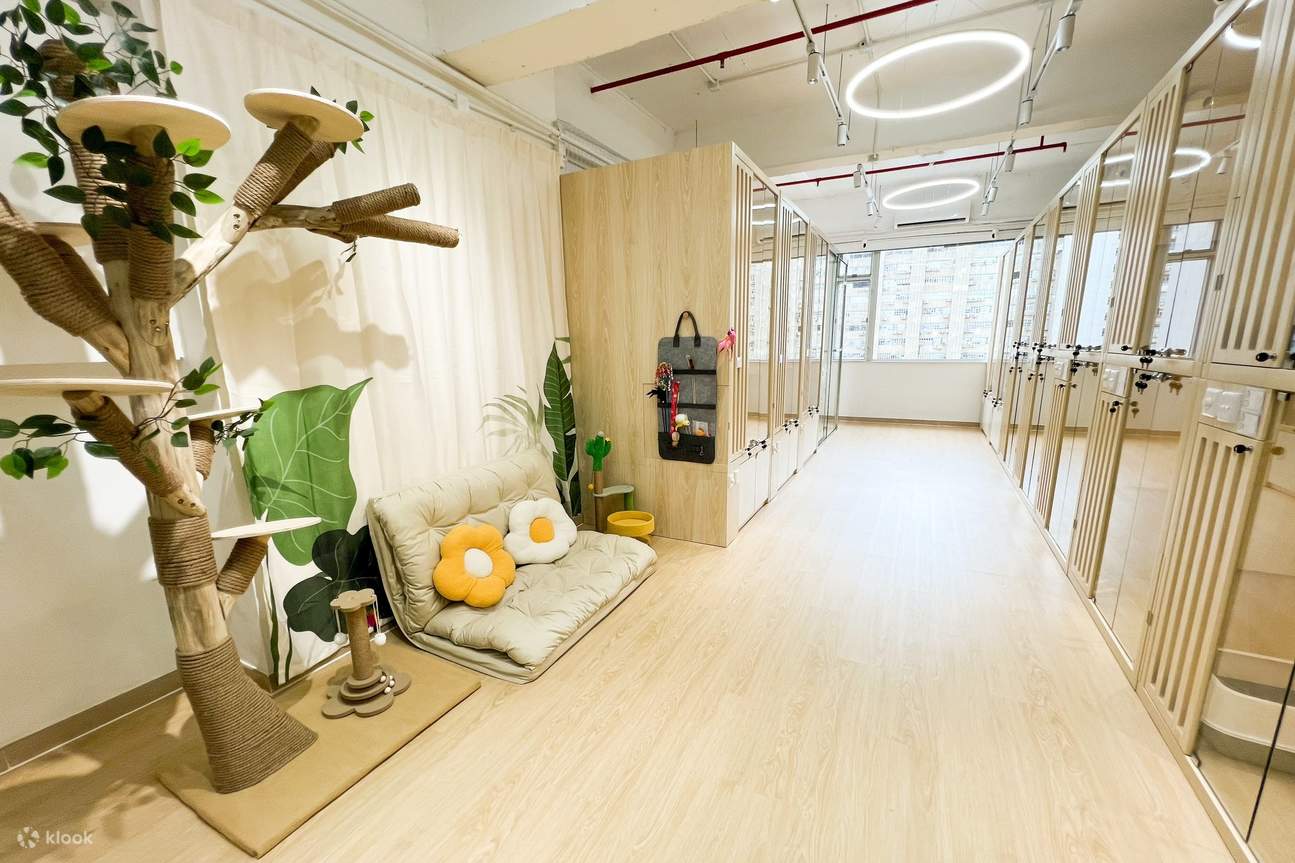 Catwalk Hotel - Cat Hotel in Hong Kong - Klook United States
