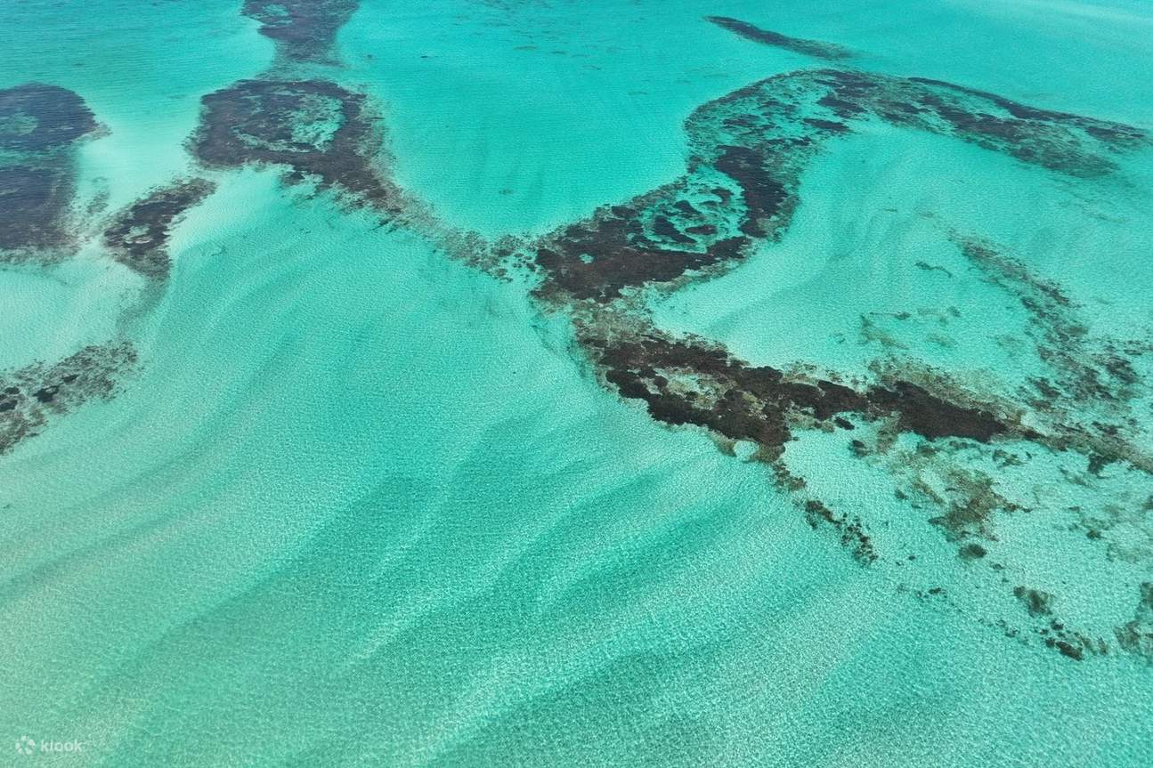 2 Days Luxury Pink Lake Tour with Chinese Language Guide - Klook